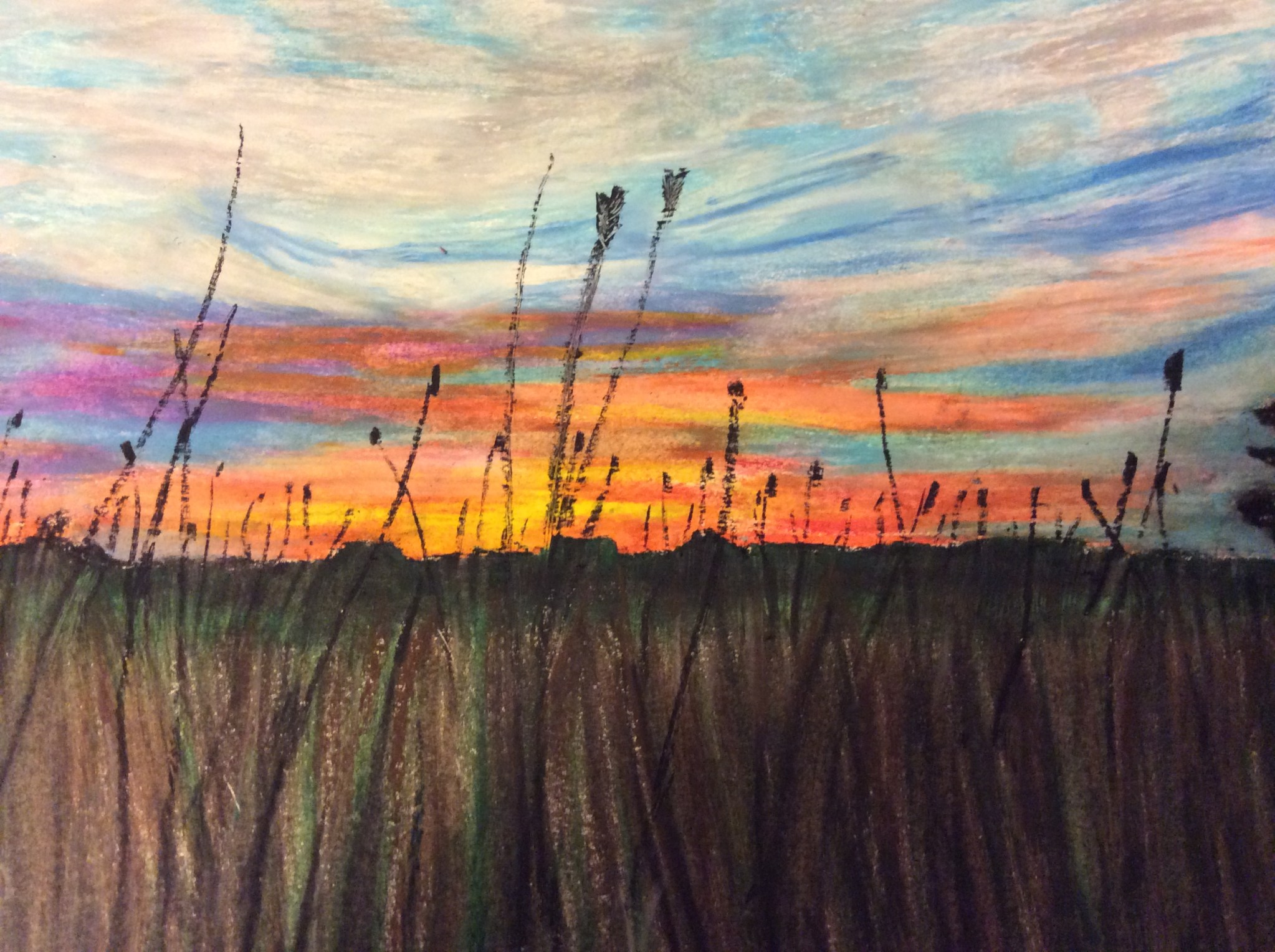 This Kind of Malarkey – Art and illustrations by Kim Harvey